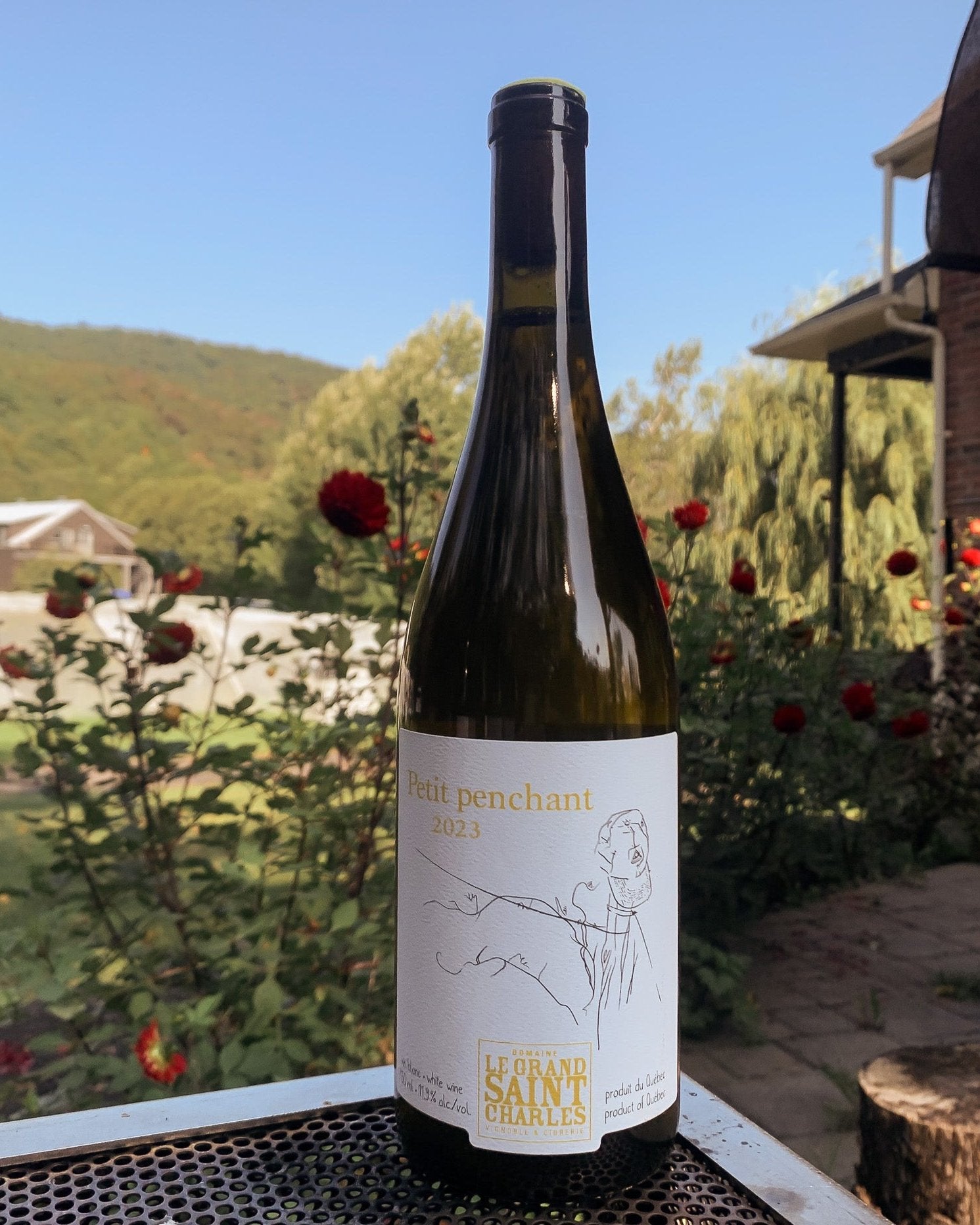 Petit Penchant 2023 | Domaine Le Grand Saint-Charles – Les Minettes
