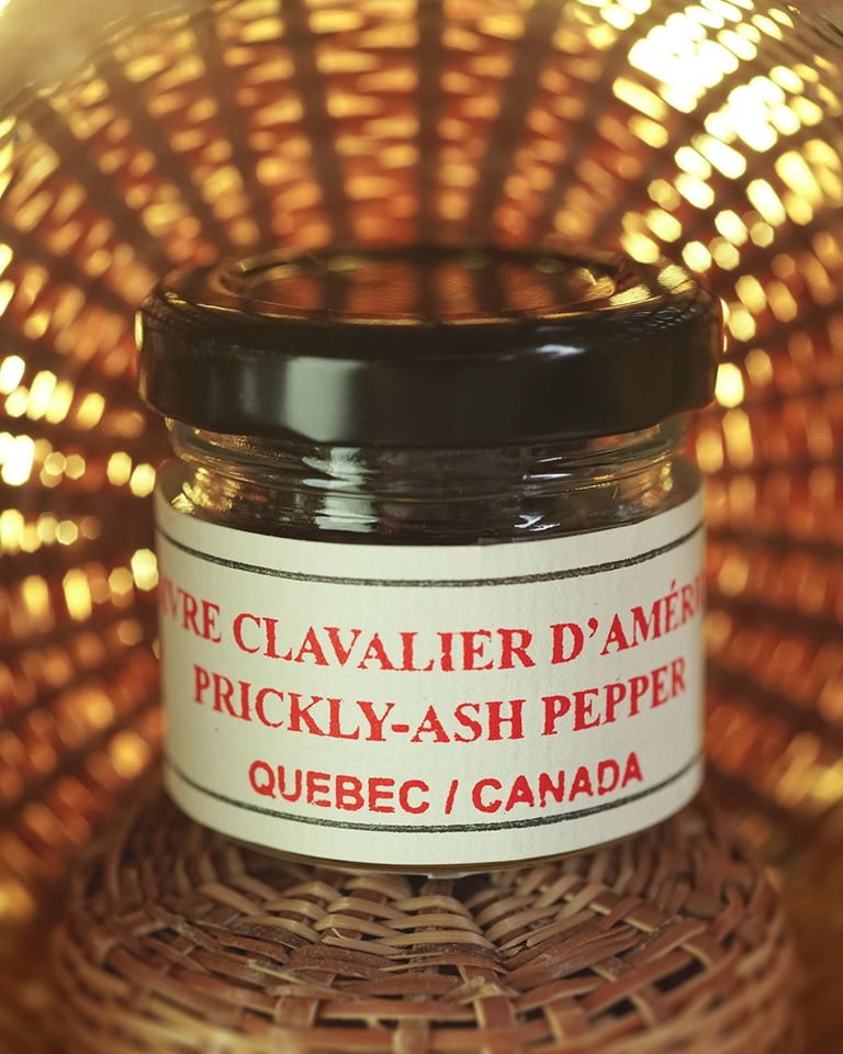 Poivre clavalier d'Amérique (du Québec) | Épices de cru – Les Minettes